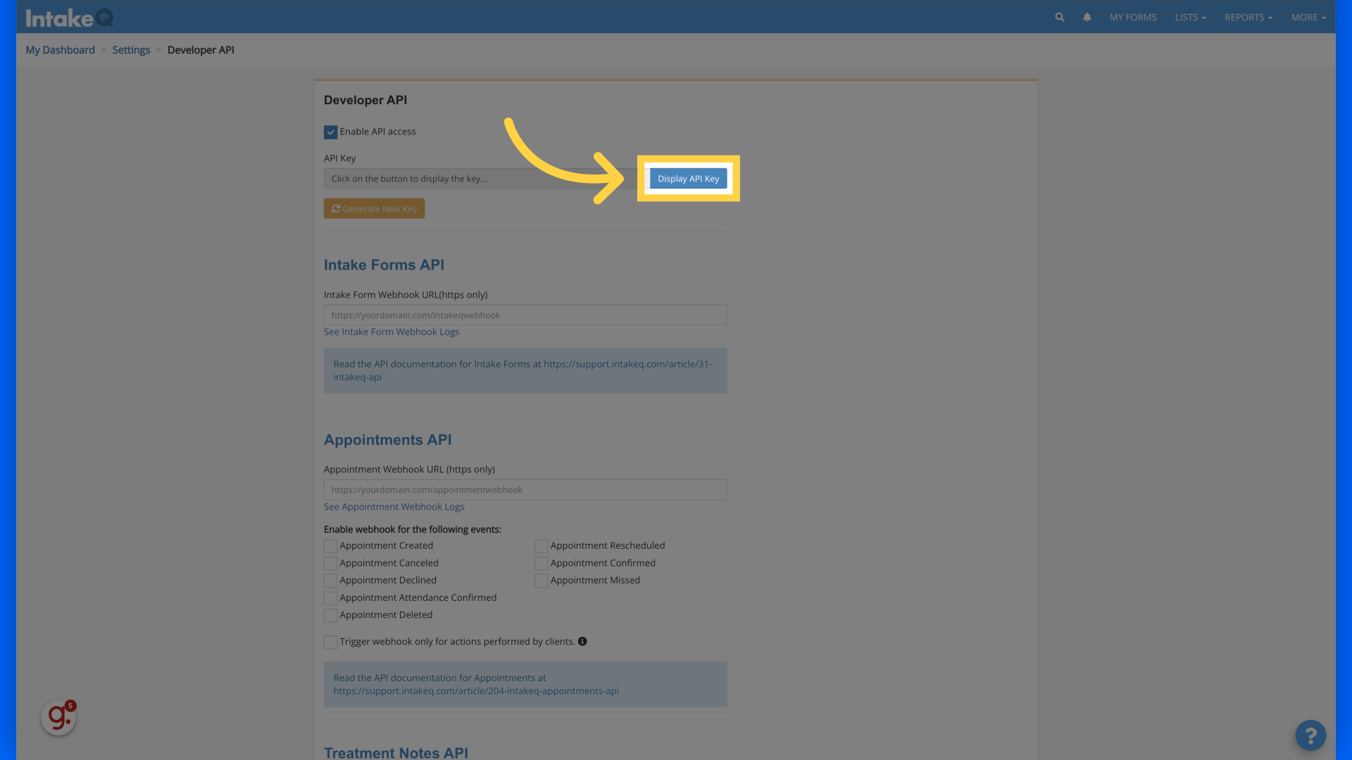 How to find your API Key in IntakeQ – Keragon