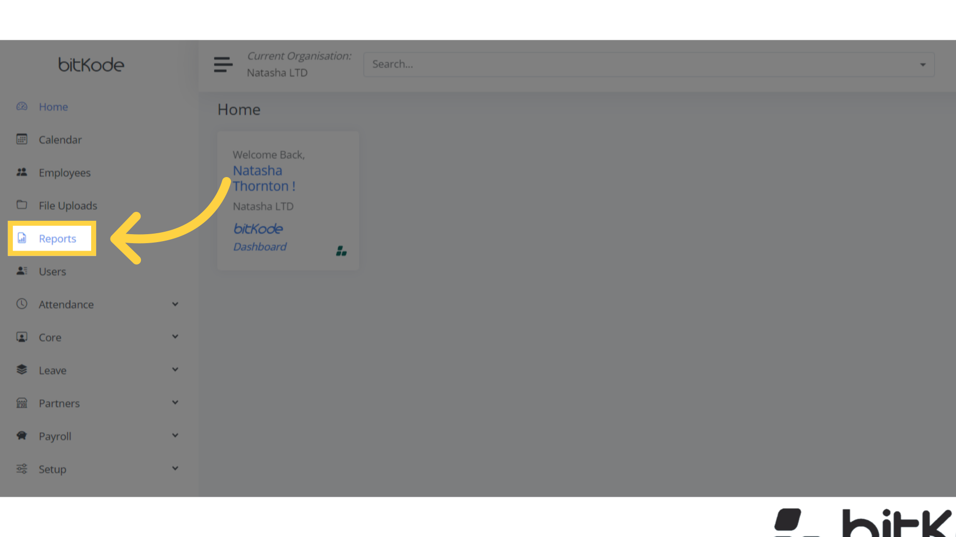 How do I monitor user activity on bitKode (Audits)? - bitKode