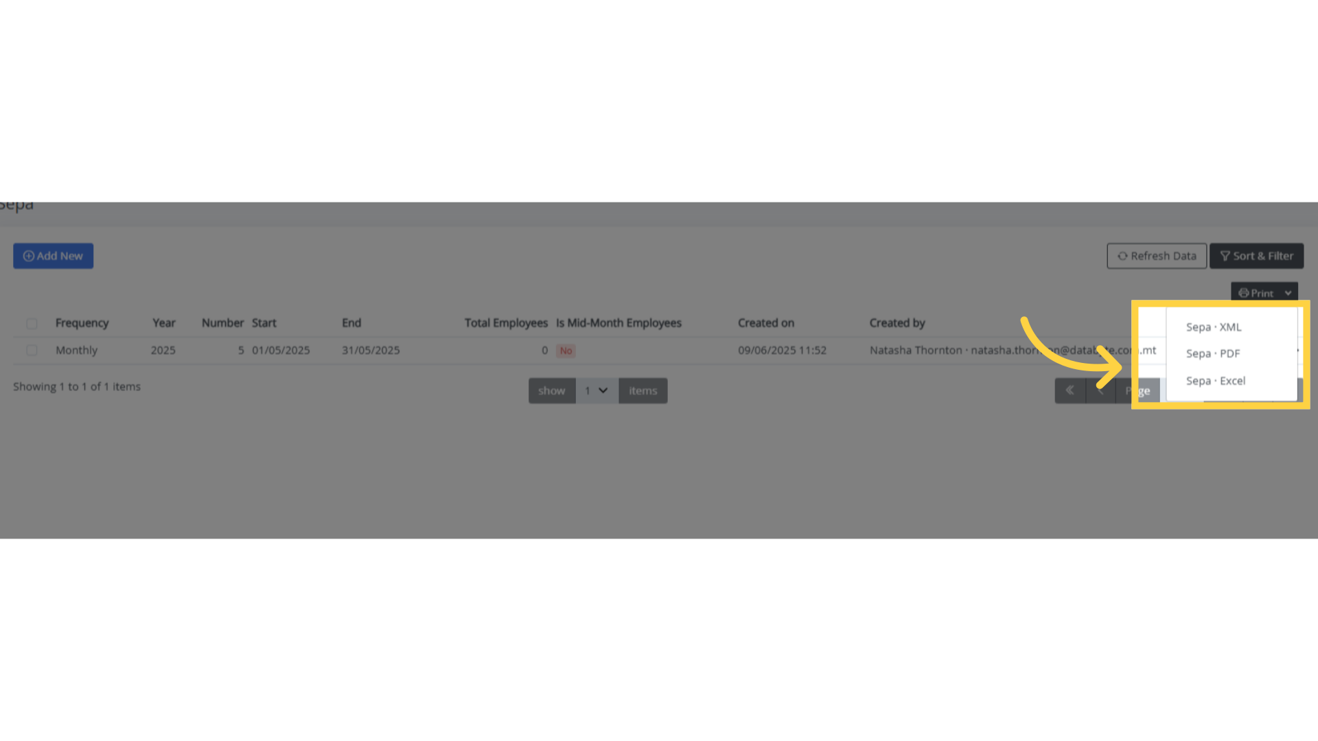 How do I generate the SEPA XML file? - bitKode