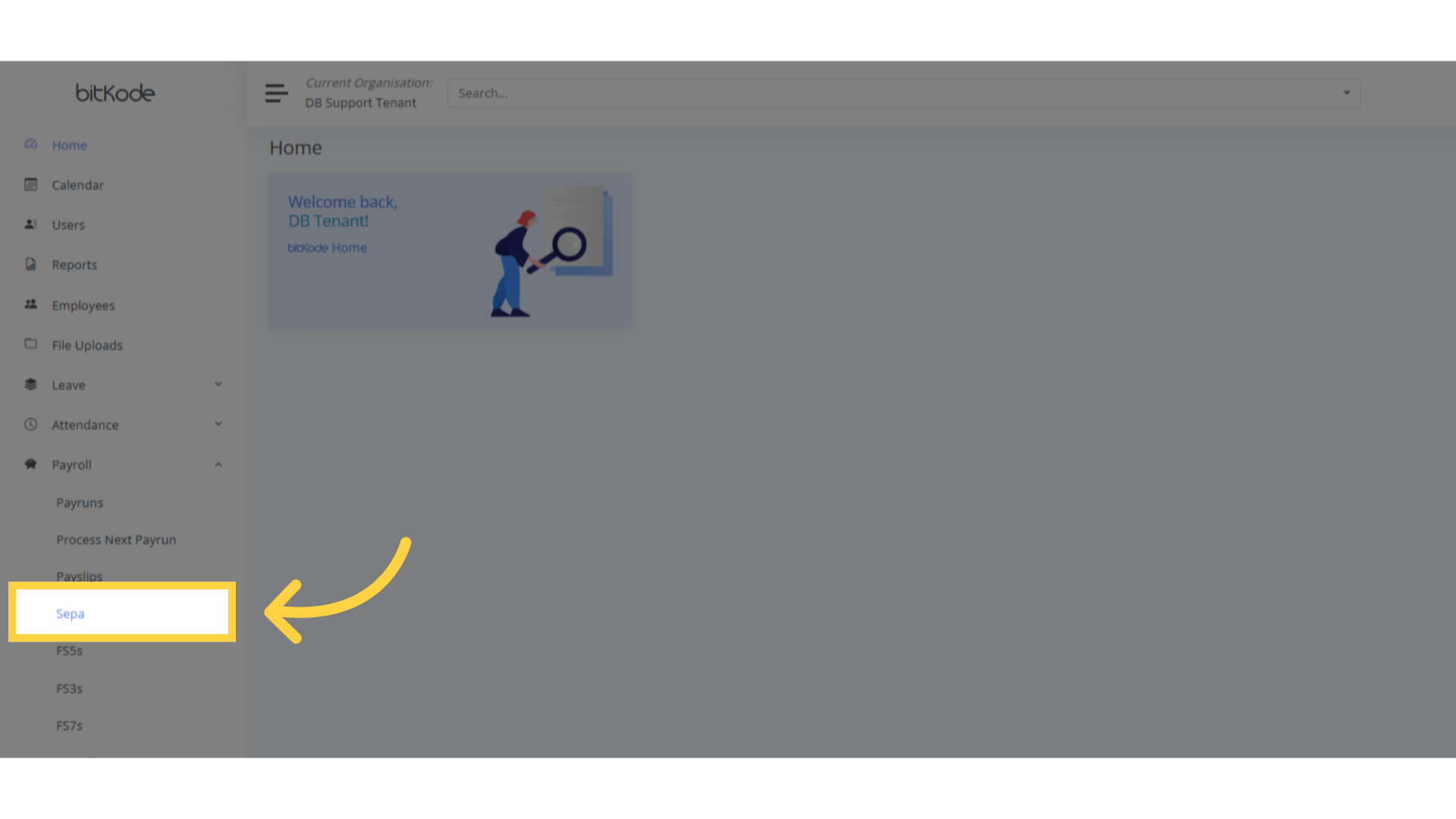 How do I generate the SEPA XML file? - bitKode