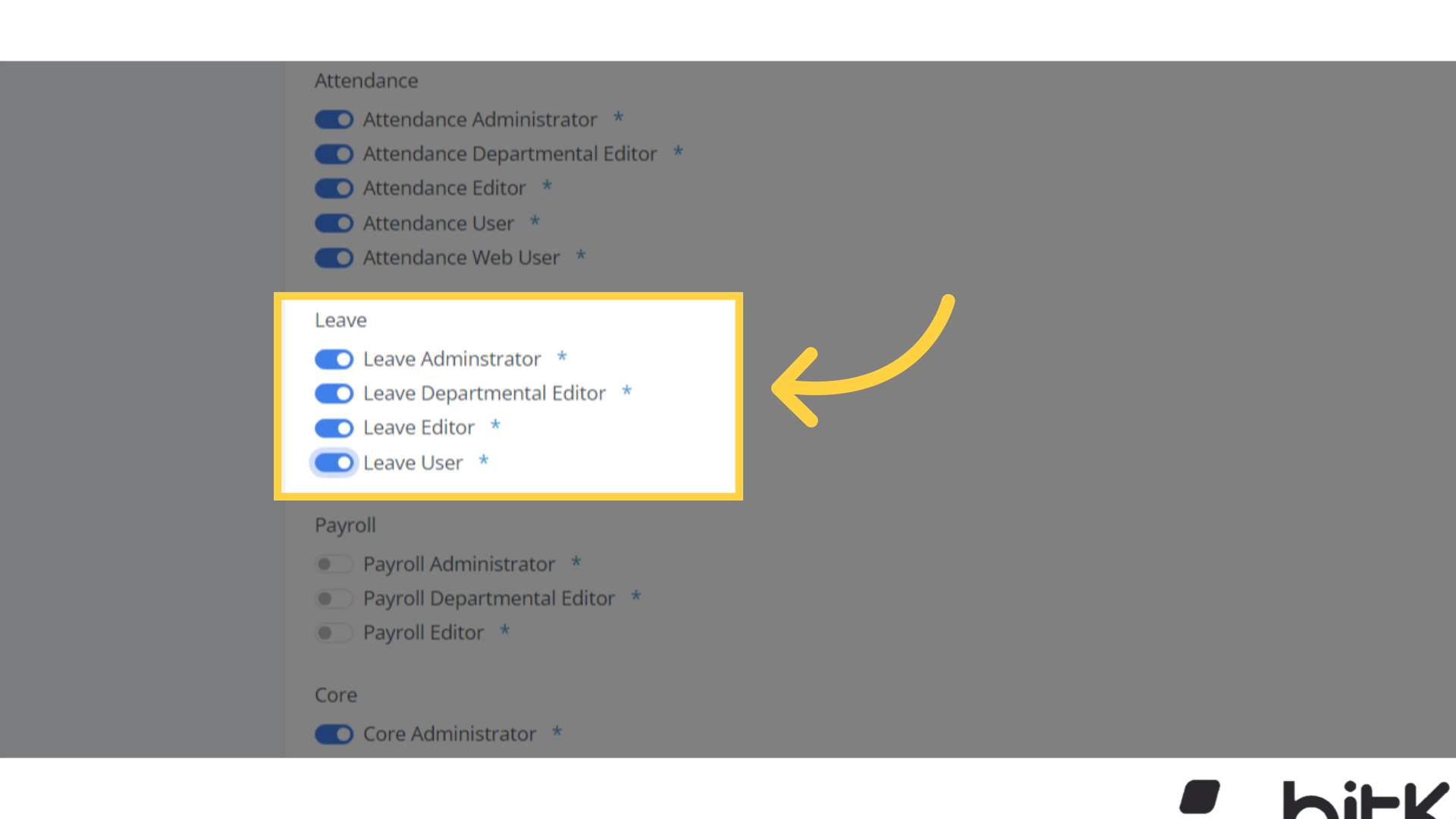 What are the different levels of access in Leave? - bitKode