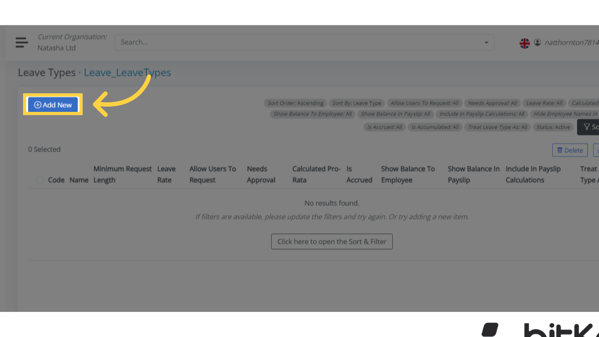 How do I set up basic leave settings and leave types? - bitKode