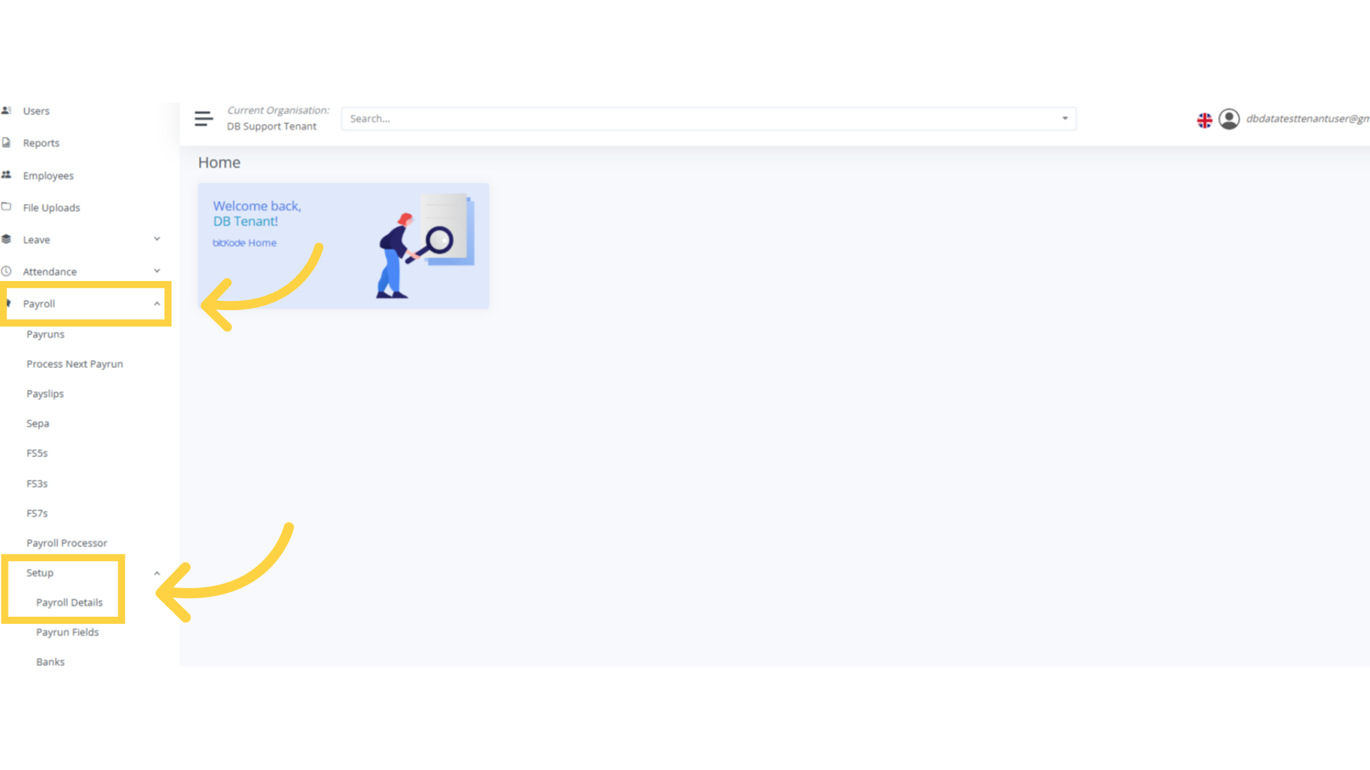 What basic payroll setting and company information are required? - bitKode