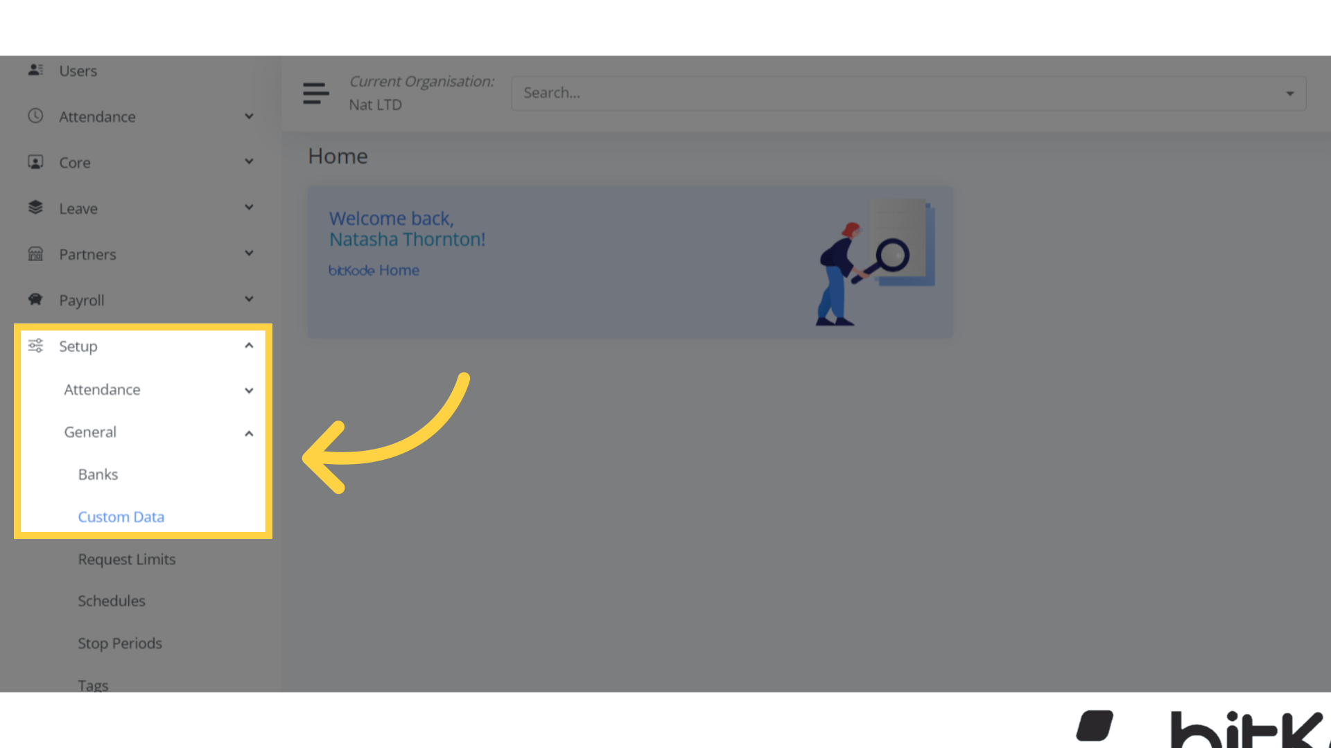 How do I preview a custom tab? - bitKode