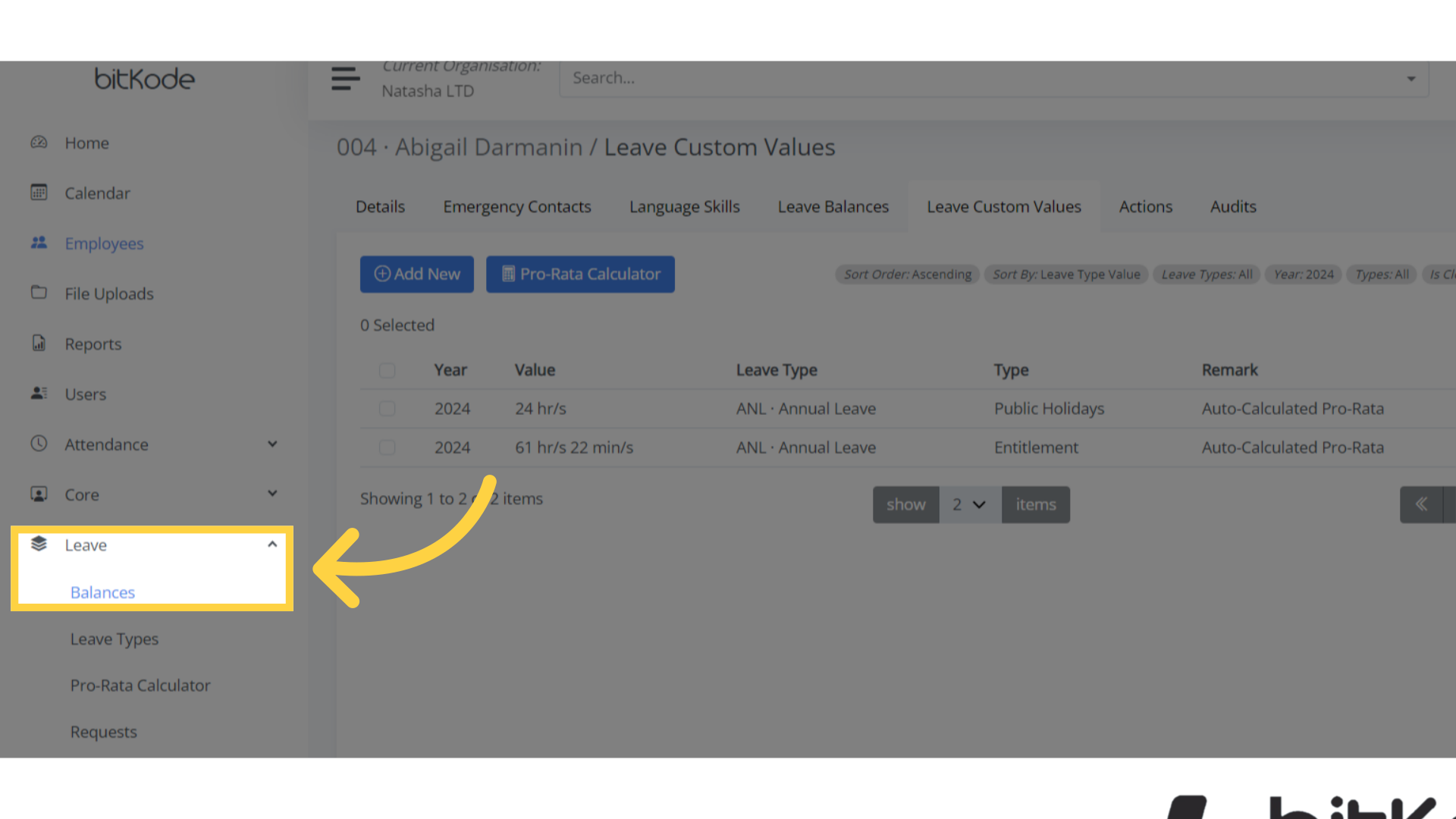 Leave Balance - bitKode