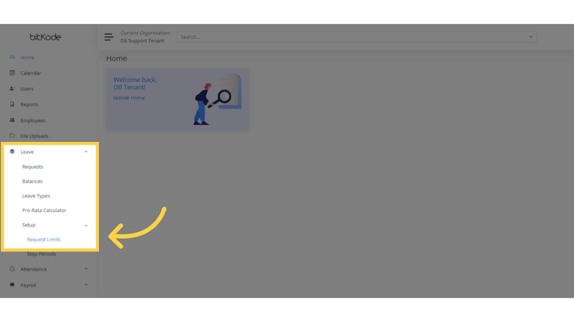 How can I set team requests limits? - bitKode
