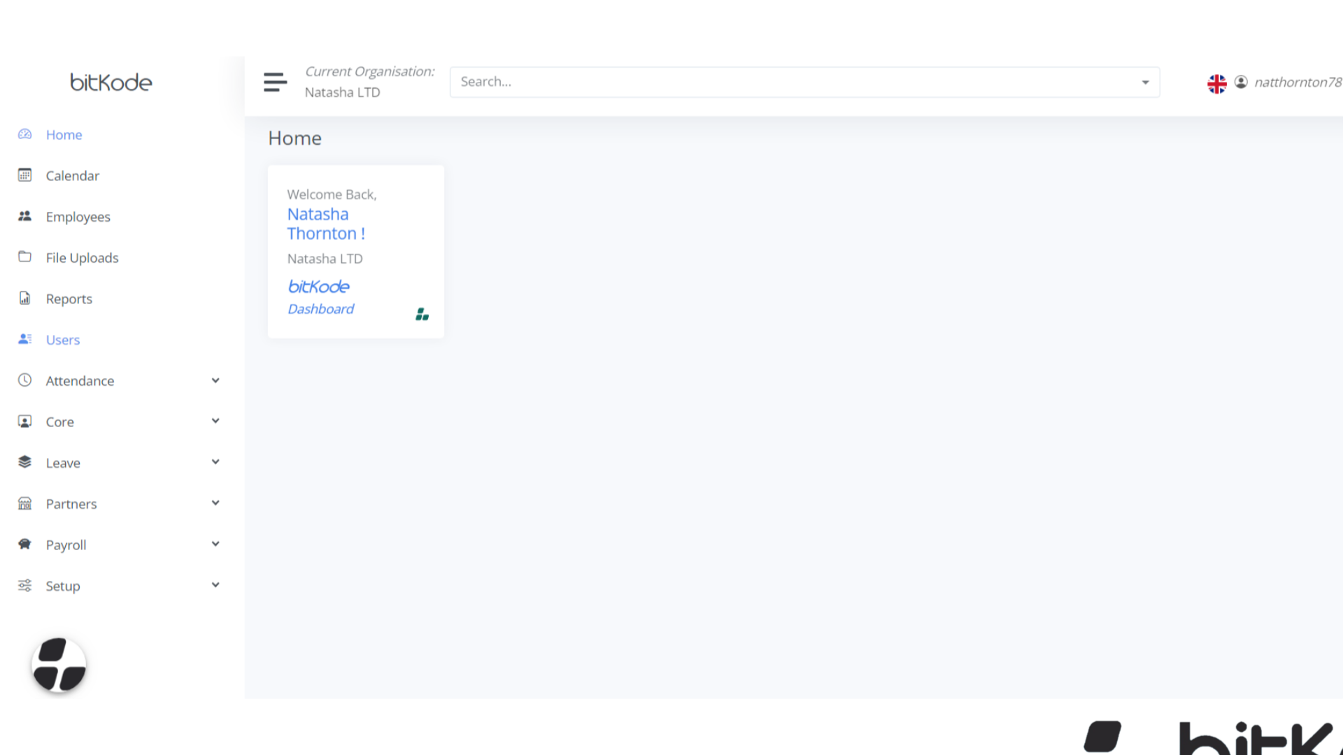 What are the different levels of access in bitKode CORE? - bitKode