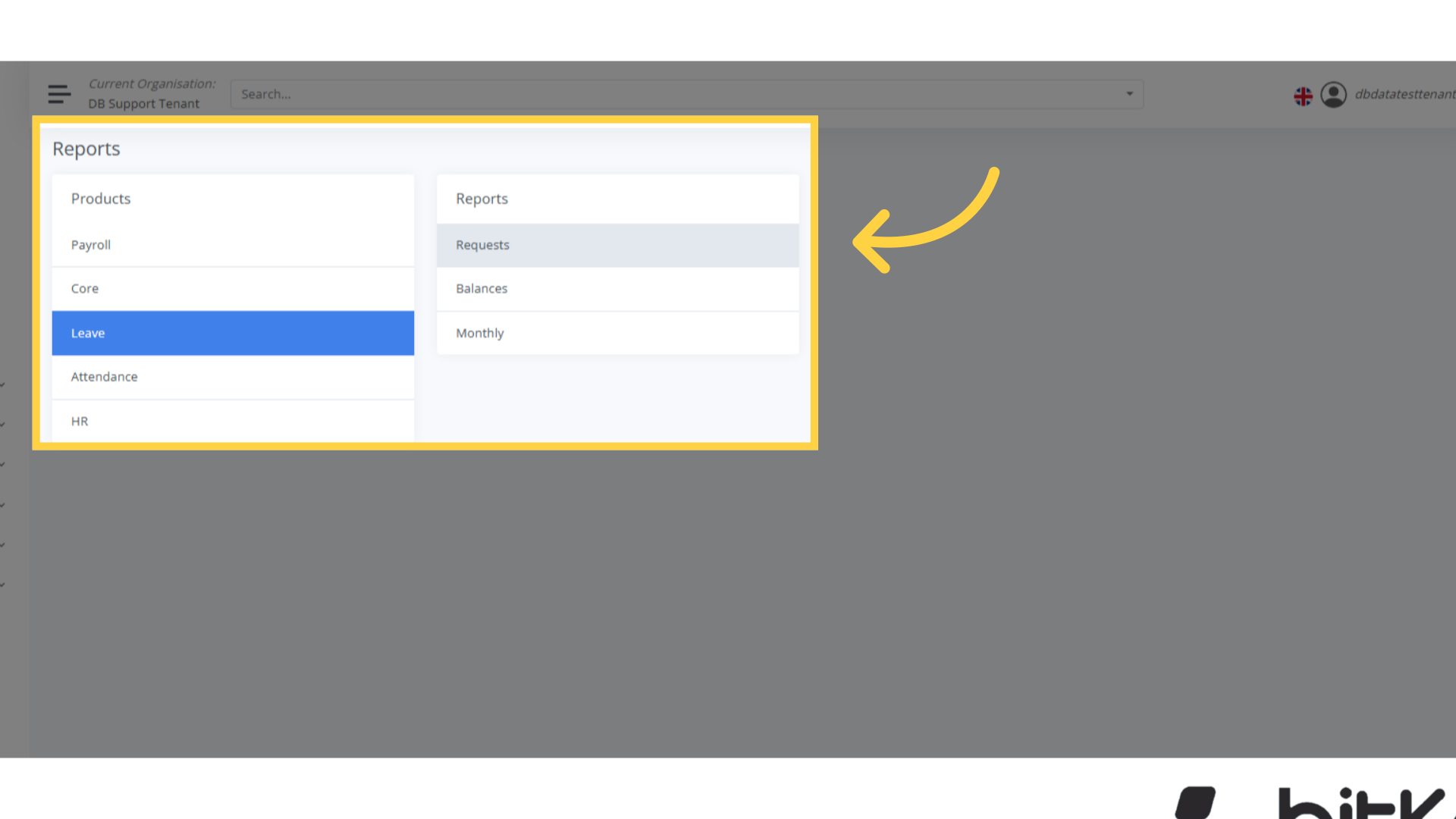 What Leave-related reports can I extract? - bitKode