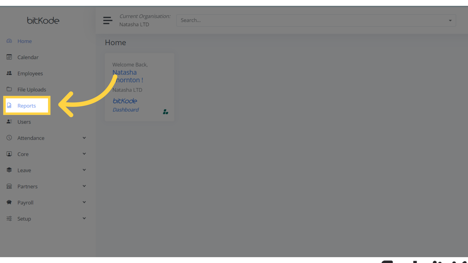 General Reporting/ How do I generate a report on bitKode? - bitKode