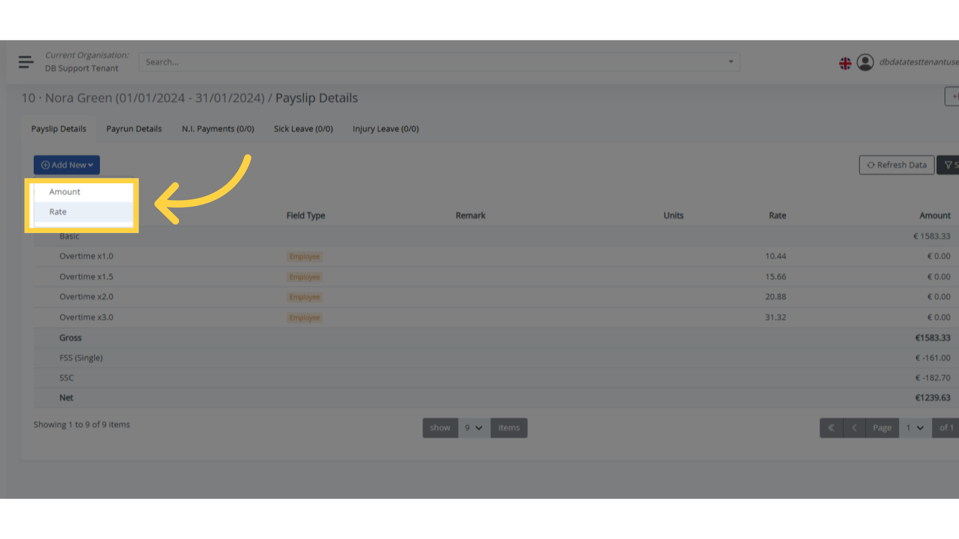 How do I add manual Payroll Adjustments? - bitKode