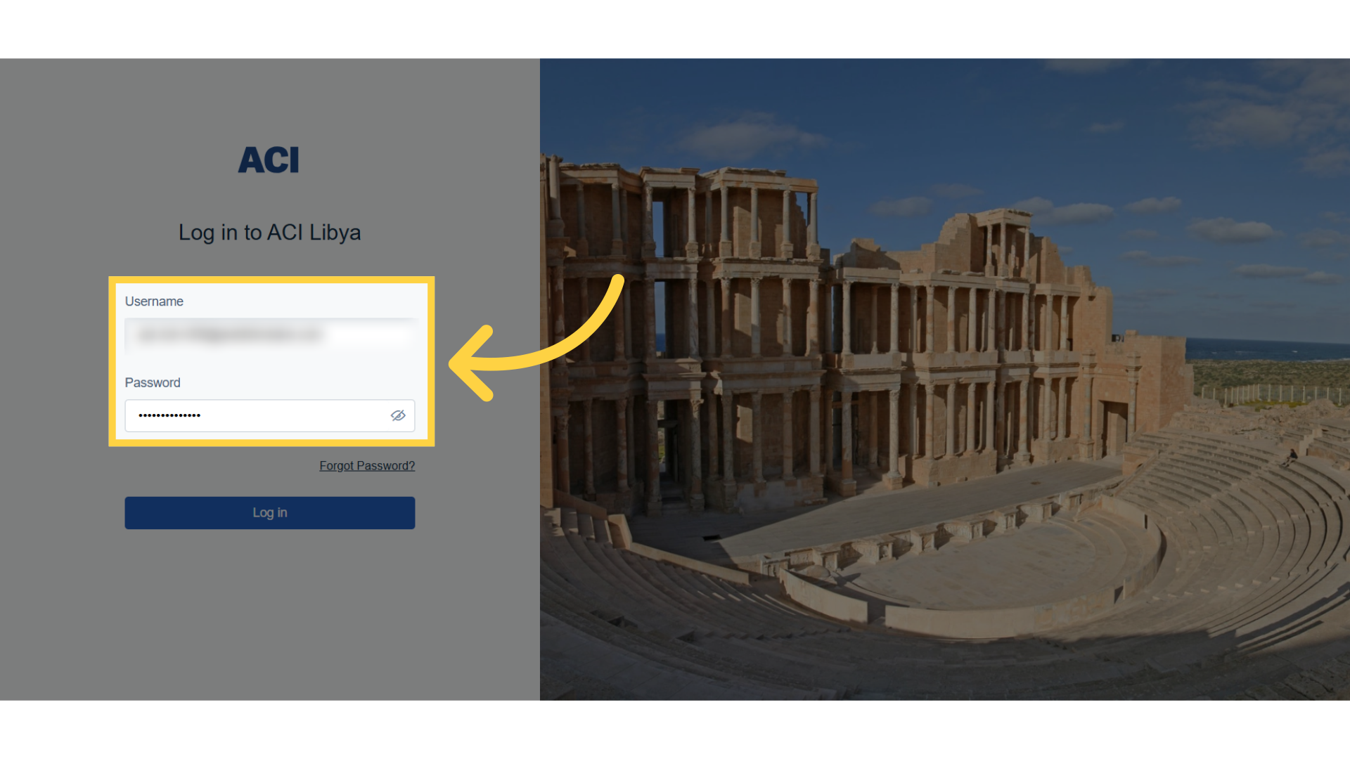 How to Create an ACI and submit it for Importer Review ( Exporter )