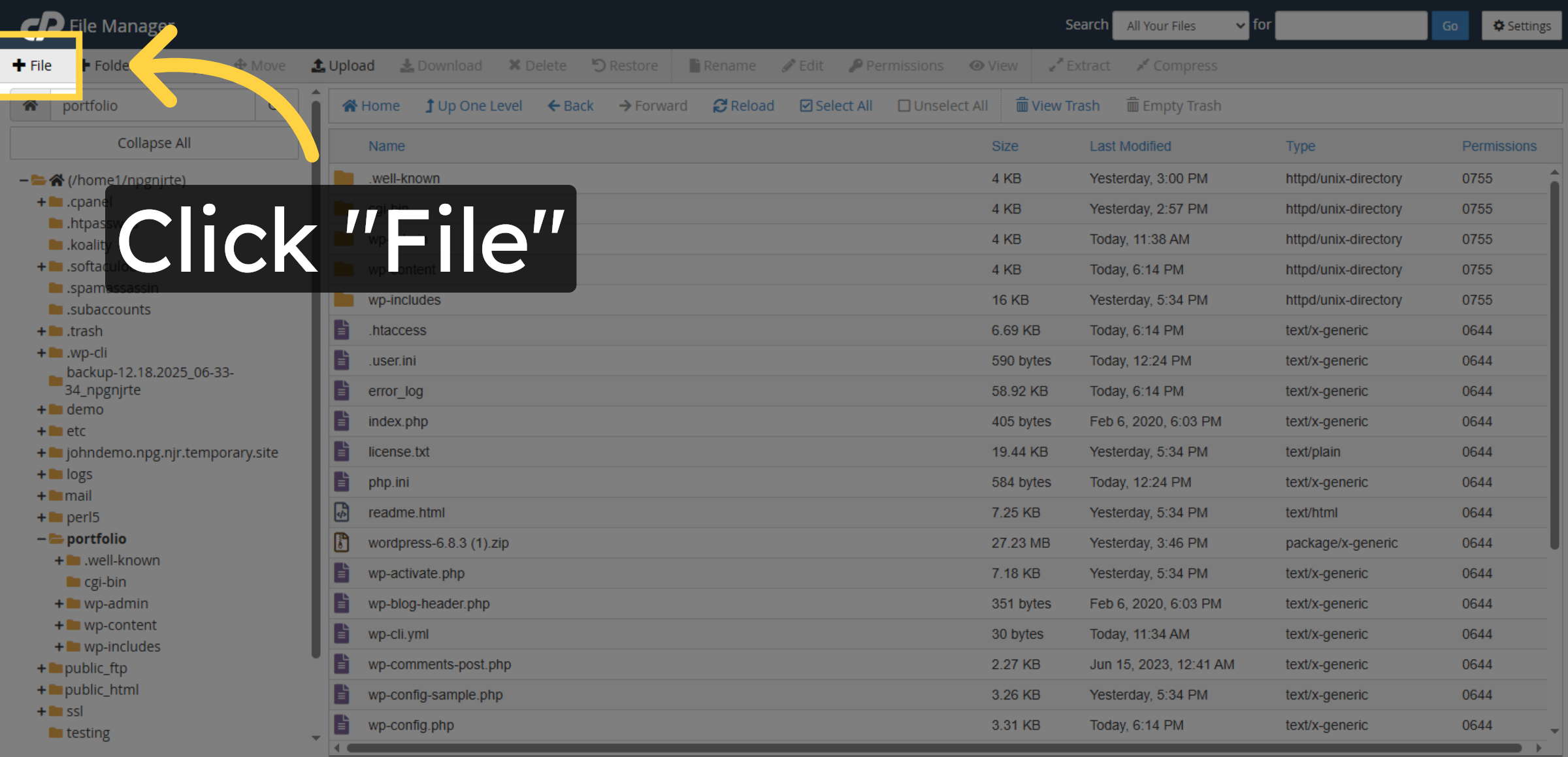Guide to Efficiently Manage Files Using HostGator File Manager